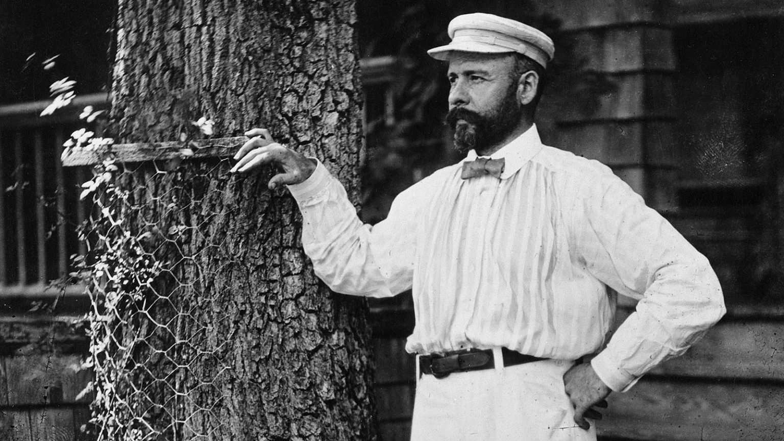 Louis Sullivan: Vida y 02 alianzas estratégicas